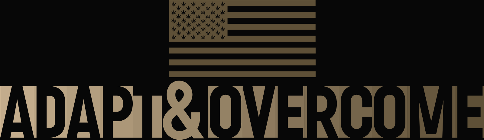 Home | Adapt & Overcome